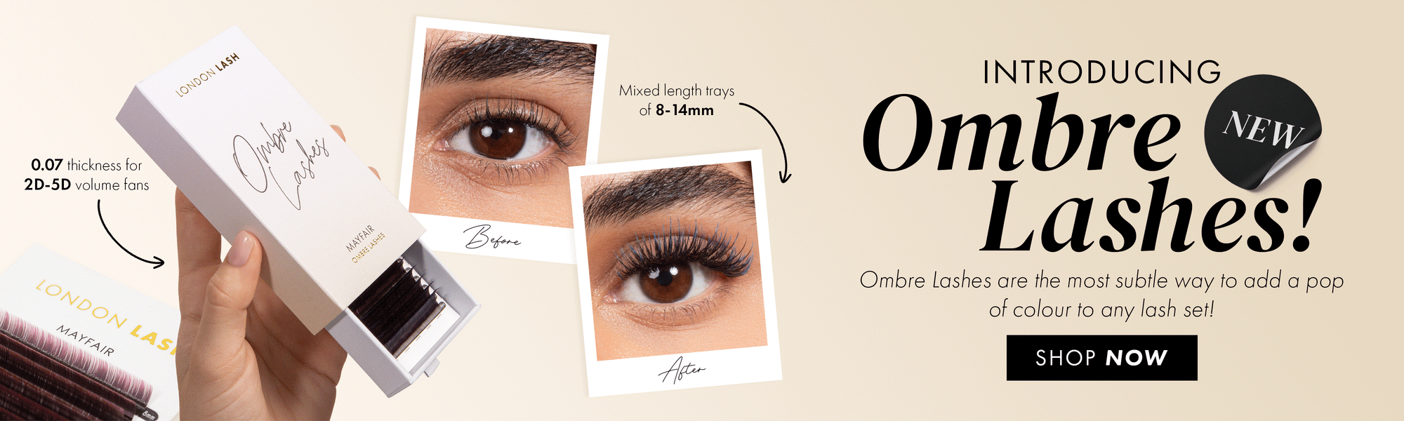 London Lash | Eyelash extensions wholesale supplier